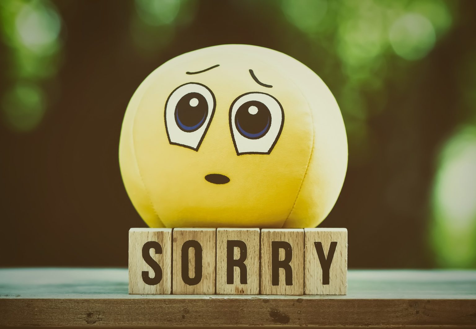 How to Say Sorry: 35 ideas from Bryn Mawr Relationship Experts How to Say Sorry: 35 ideas from Bryn Mawr Relationship Experts